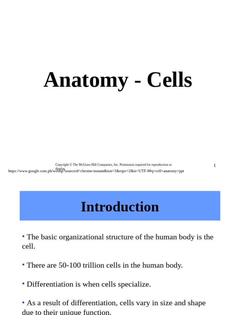 Cell Structure and Organelles Overview | PDF | Endoplasmic Reticulum ...