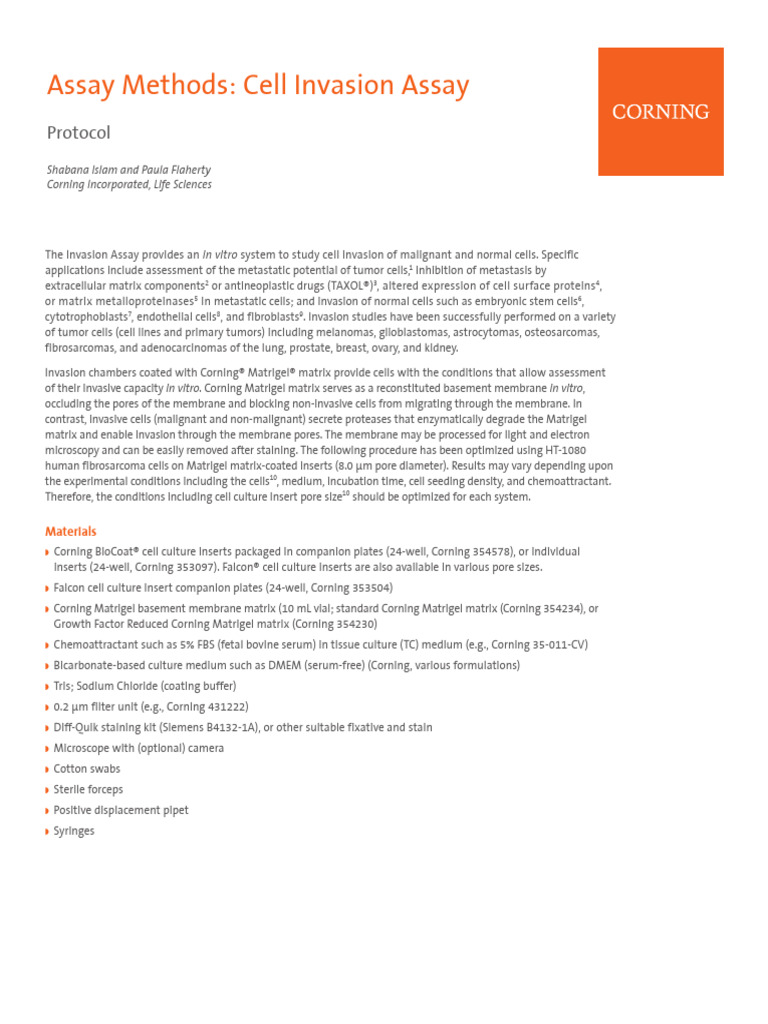 In Vitro Cell Invasion Assay Protocol | PDF | Metastasis | Staining