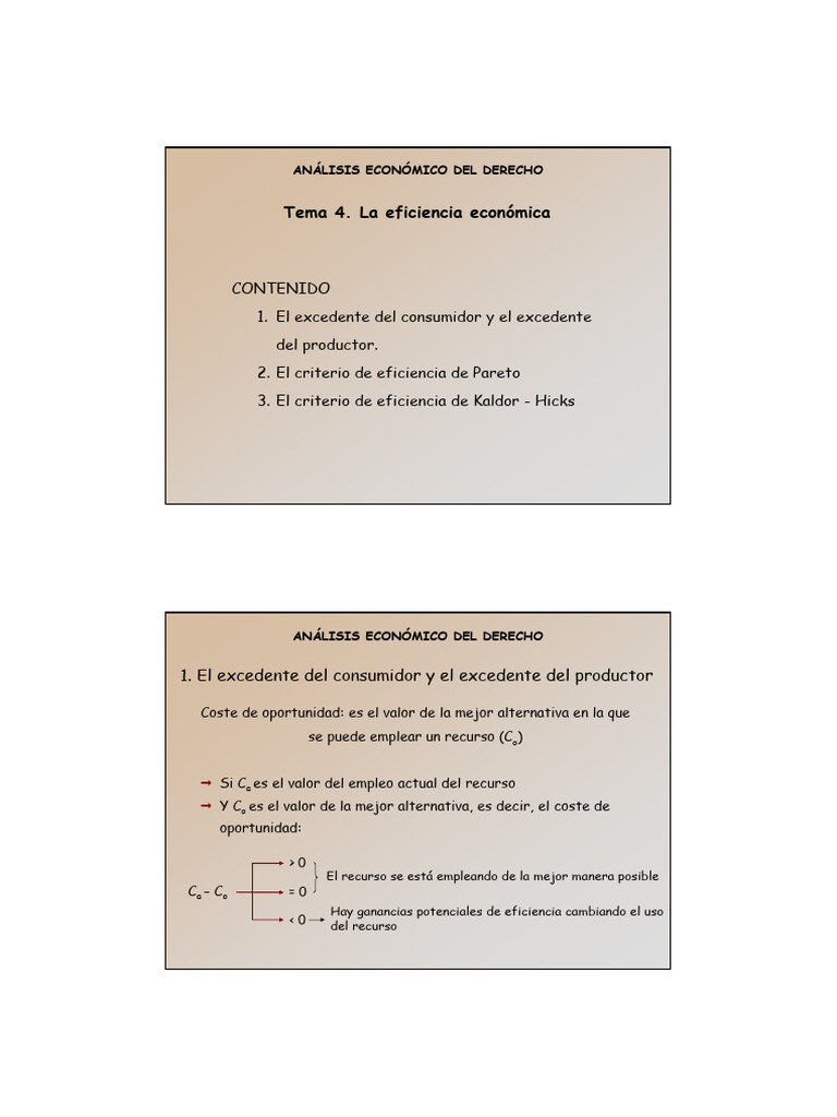 Tema 4 AED | PDF | Excedente económico | Derecho y economía