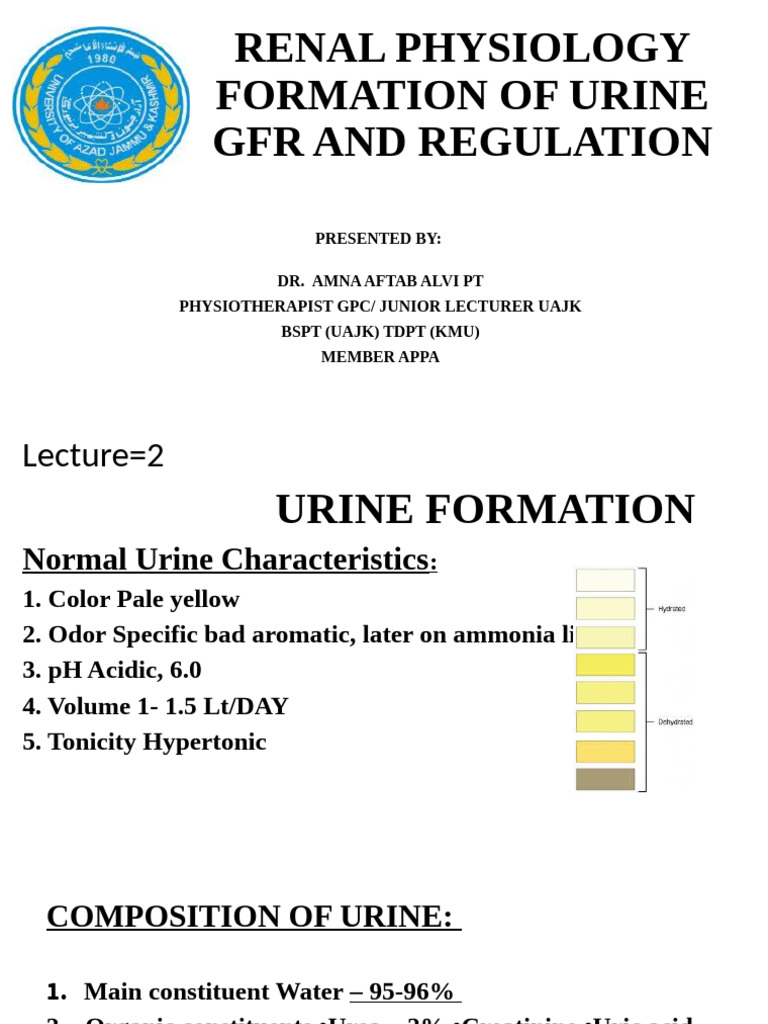 RENAL PHYSIOLOGY, URINE FORMATION, GFR, PLASMA CLEARANCE (Autosaved) | PDF