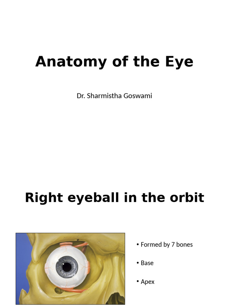 1) Anatomy of Eye - HOD Ma'Am | PDF