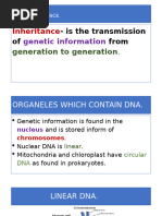 Grade 11 Biology: Genetics & Cell Division | PDF | Dominance (Genetics ...