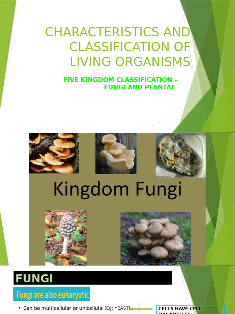 CH 1 - PART 3 CLASSIFICATION - FUNGI AND PLANTAE | PDF
