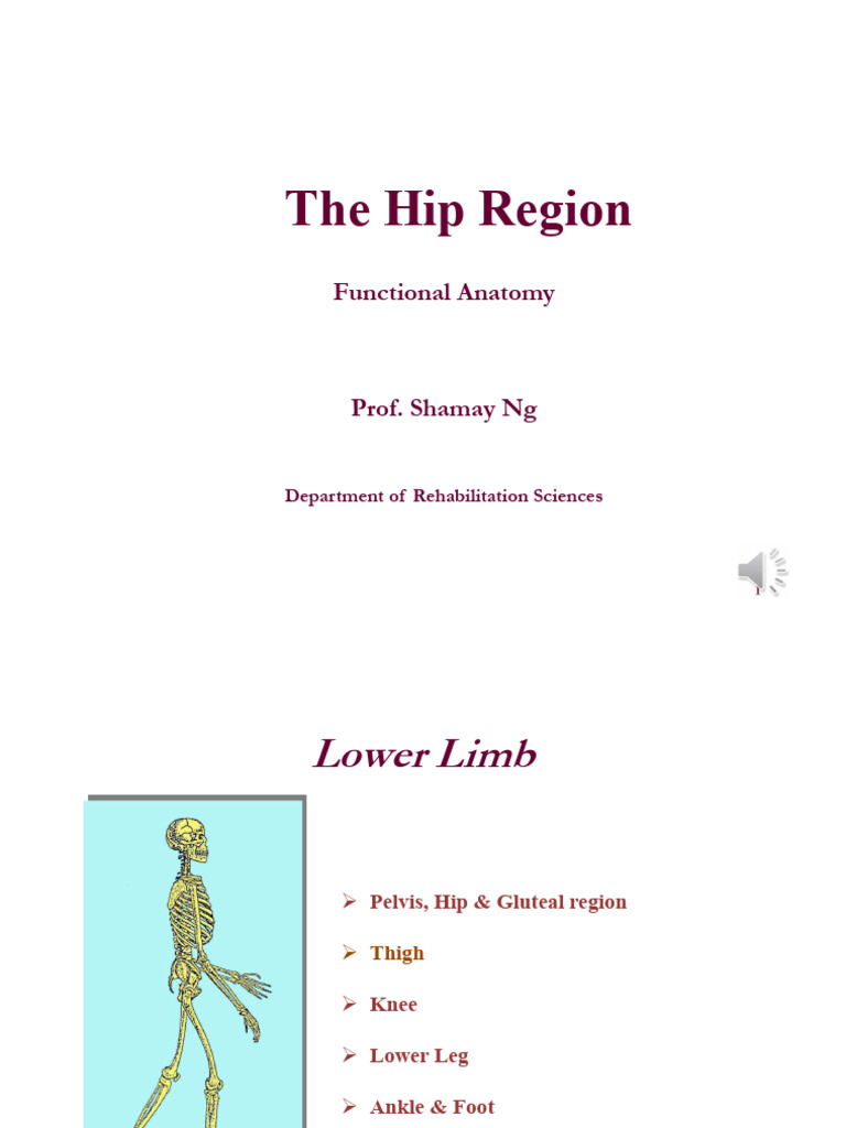 Hip Joint Anatomy and Function | PDF | Hip | Human Leg