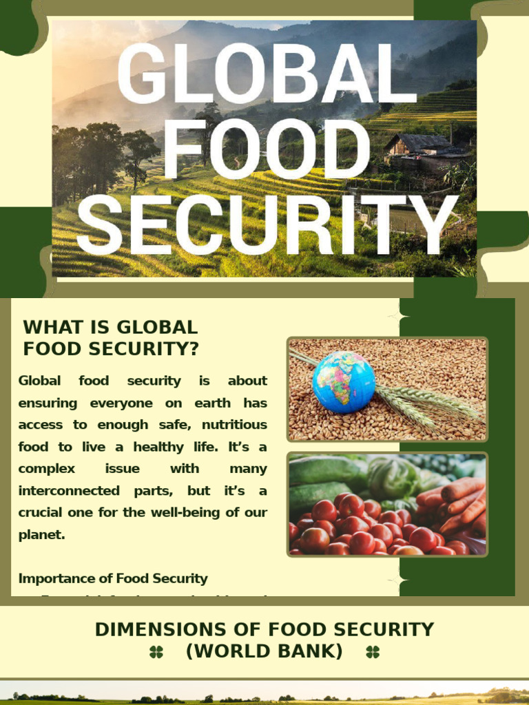 Understanding Global Food Security Issues | PDF | Food Security ...