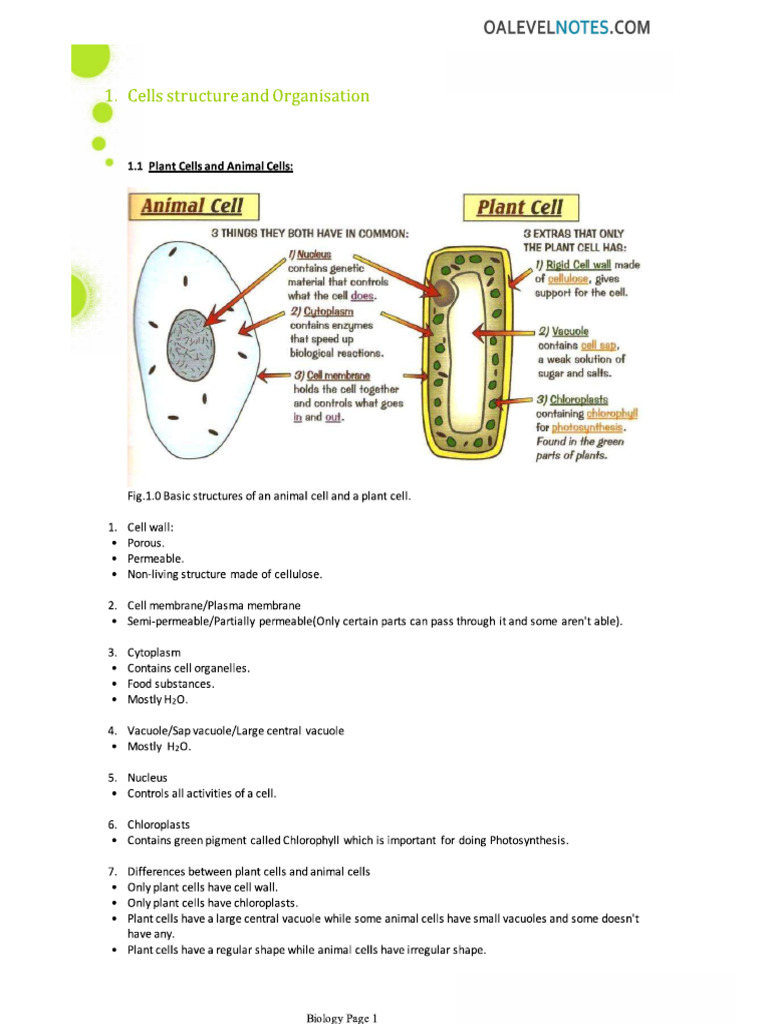 Biology | PDF