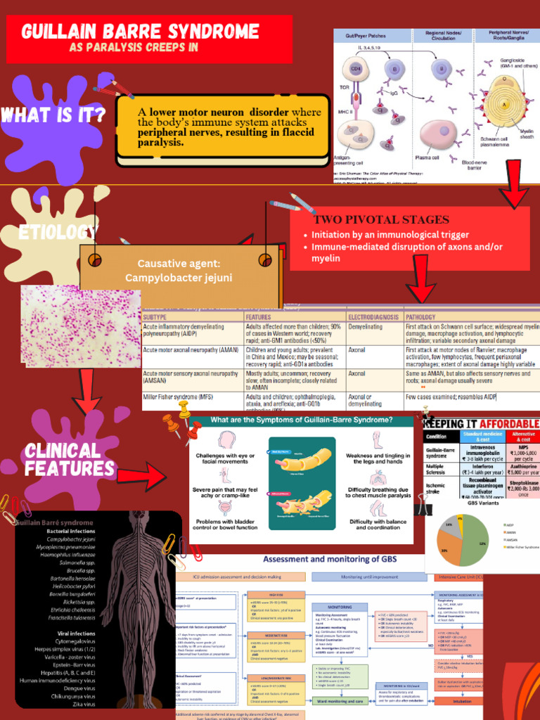 An Autoimmune Nerve Disorder - 20250821 - 181050 - 0000 | PDF