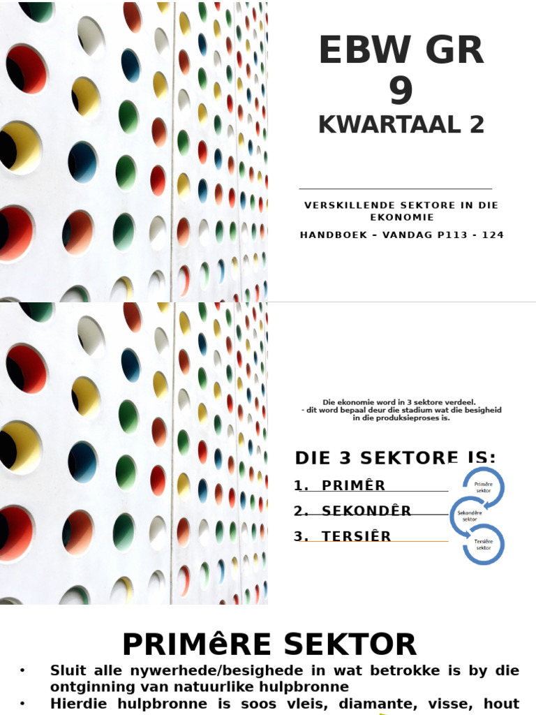 Ekonomiese Sektore | PDF