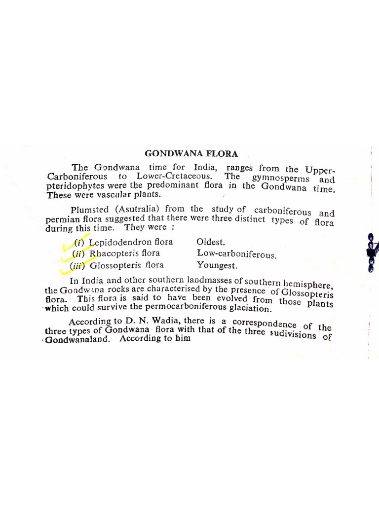 G.B. Gondwana Flora | PDF