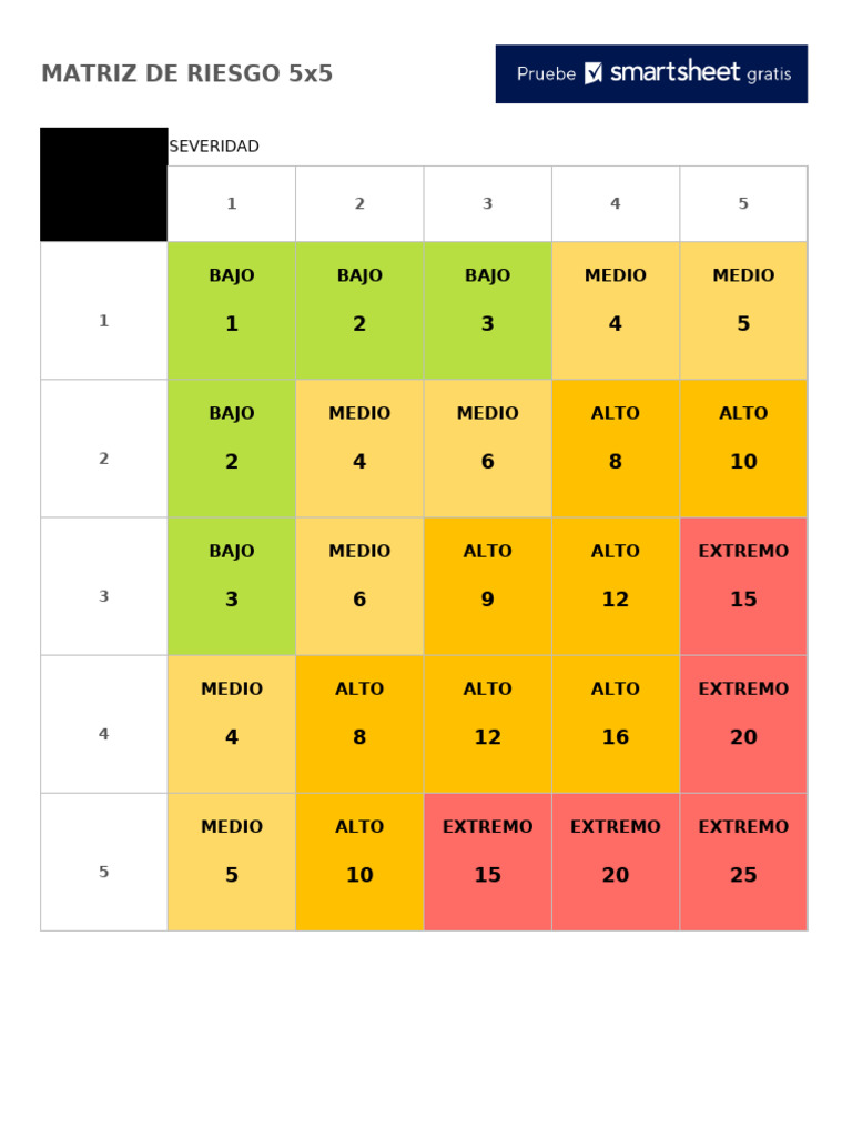 IC 5x5 Risk Matrix 27139 - ES | PDF