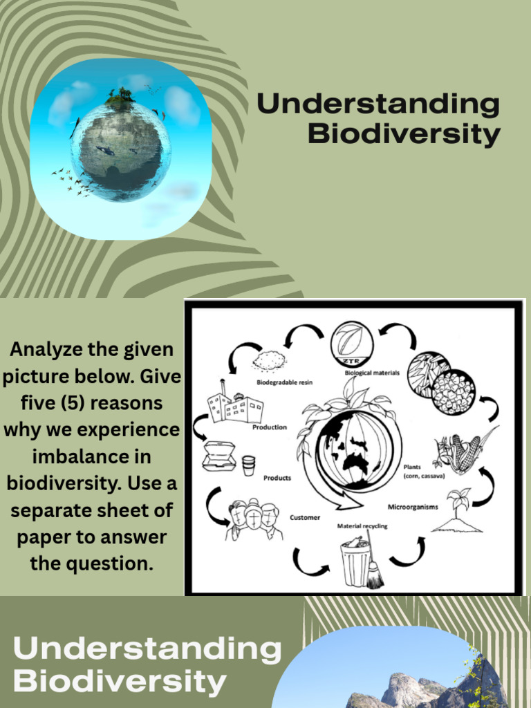 Presentation Understanding Biodiversity | PDF | Biodiversity | Ecosystem