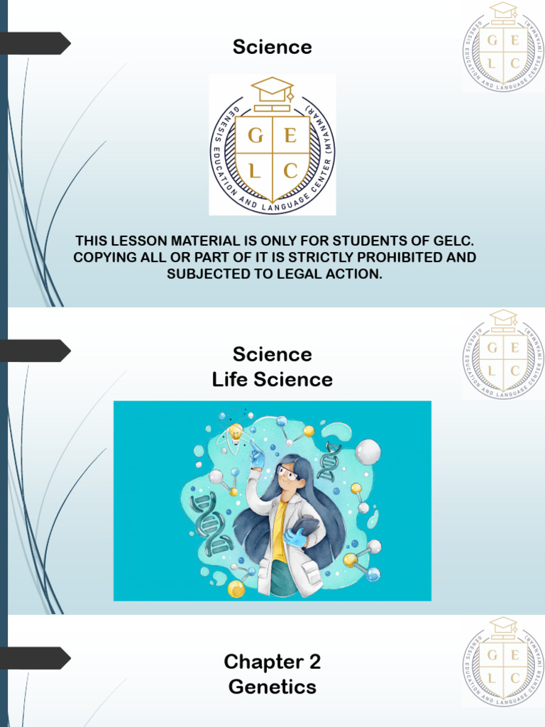 Gelc Ged SC LS C2 | PDF