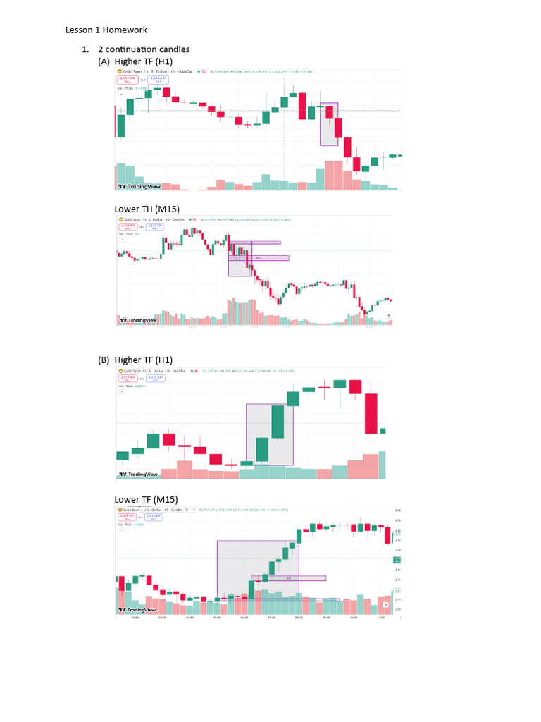 Lesson 1 Homework (2 Continuation Candles) | PDF
