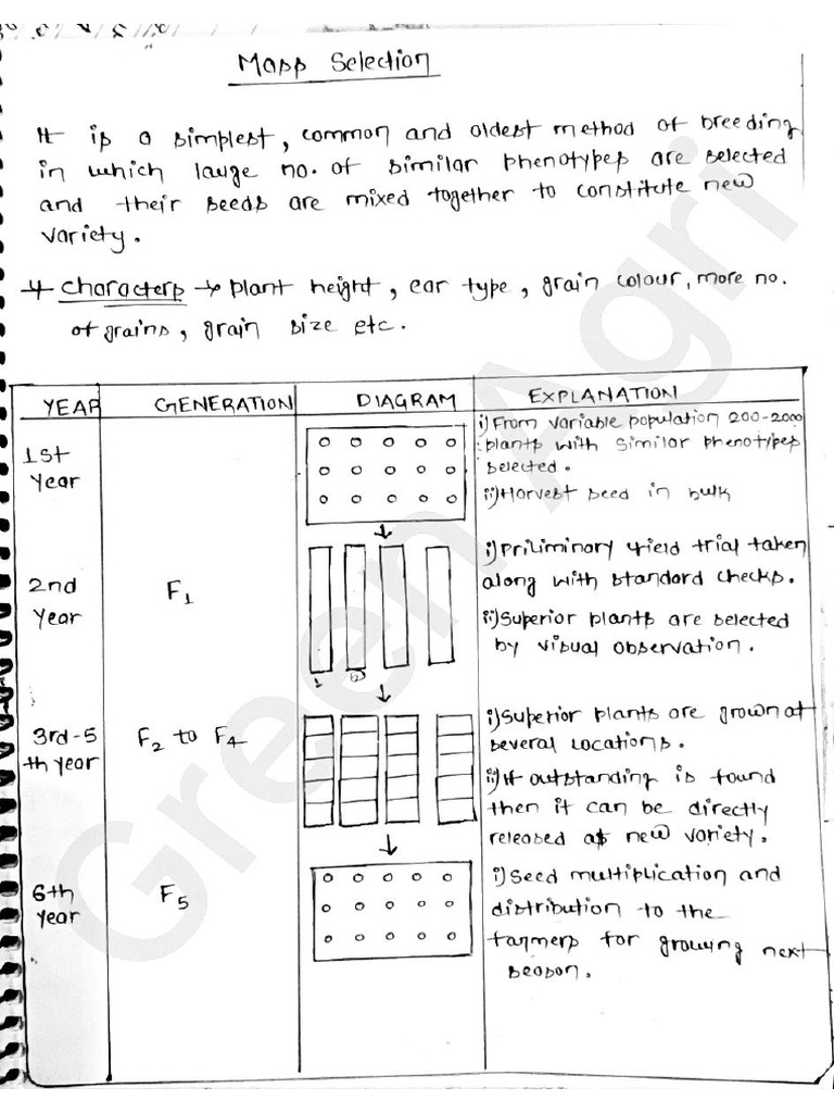 Mass Selection Method | PDF