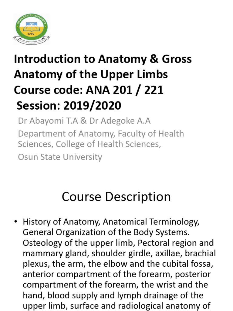 Upper Limb Complete 200L | PDF | Arm | Human Body
