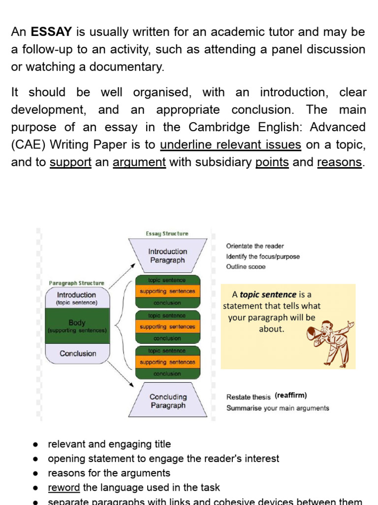 C1 Essay | PDF
