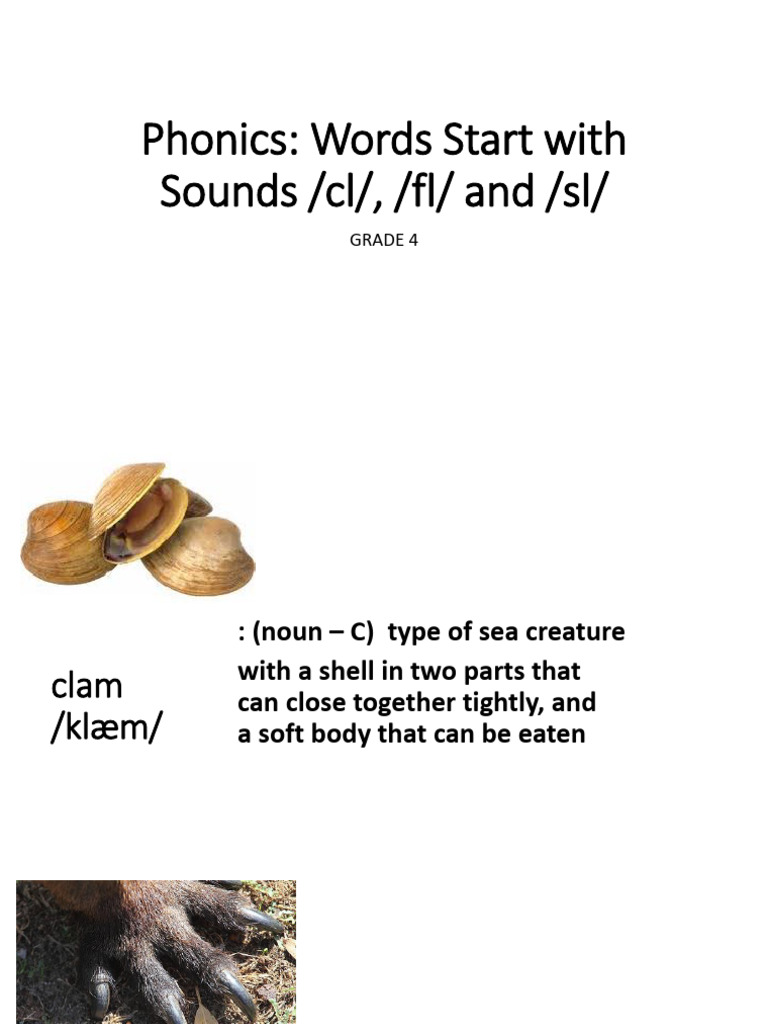 GRADE 4 Phonics CL, FL and SL | PDF
