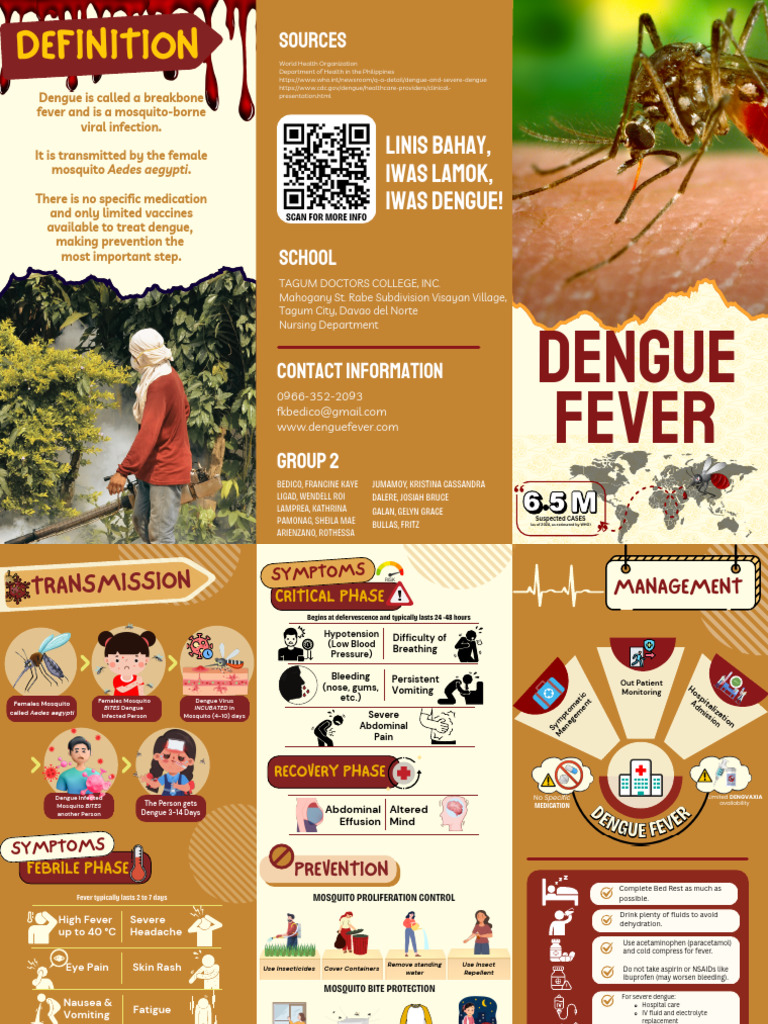 Understanding Dengue Fever Basics | PDF | Animal Diseases | Microbiology