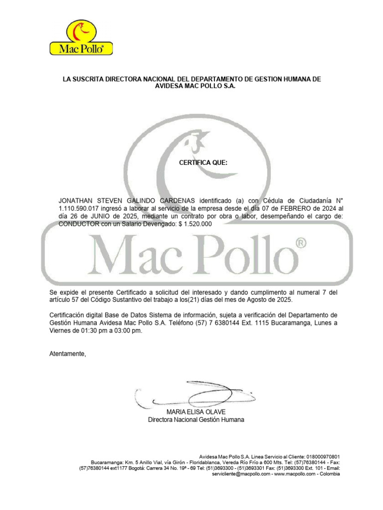 Certificado Laboral 72136445 Steven Galindo Ad | PDF