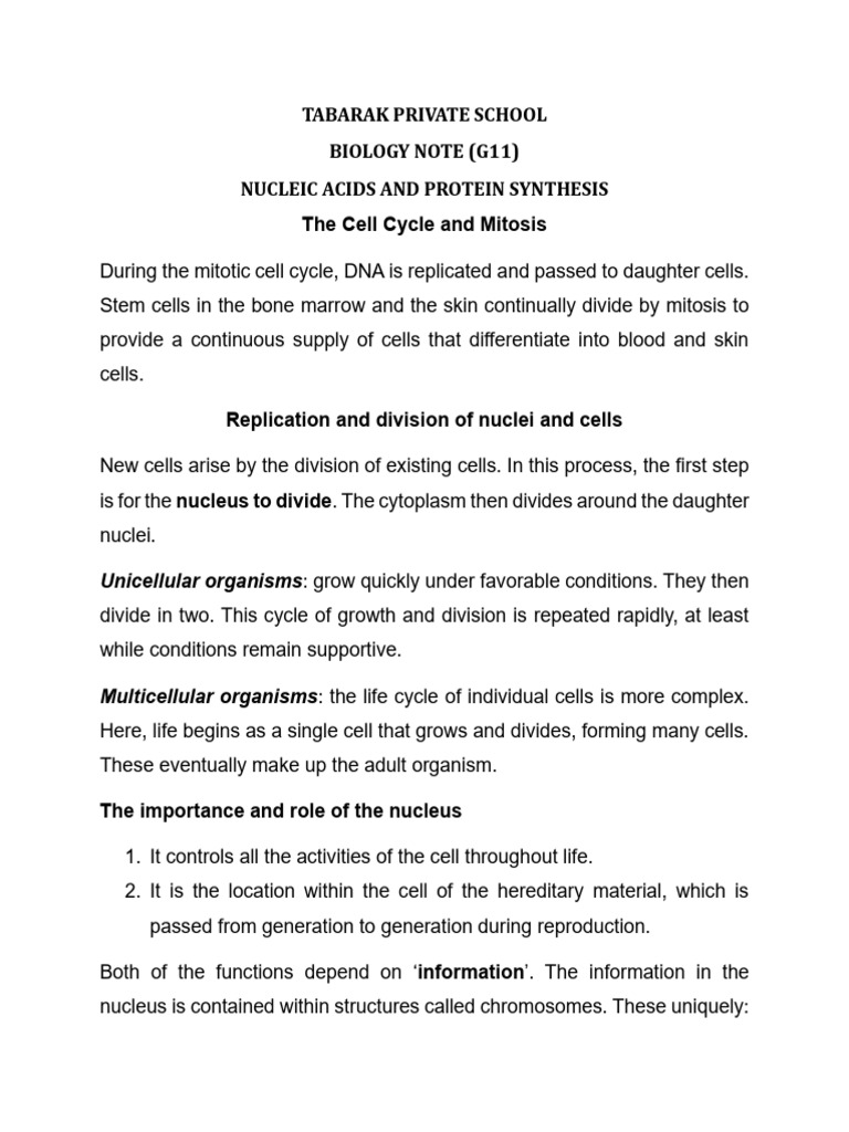 The Cell Cycle and Mitosis | PDF | Mitosis | Cell (Biology)