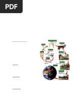 M1. Tema 4 Ciclo Ovárico Foliculogénesis | PDF | Sistema endocrino | Sistema reproductivo