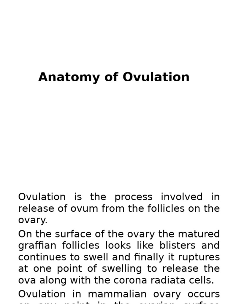 Understanding Ovulation Mechanisms | PDF