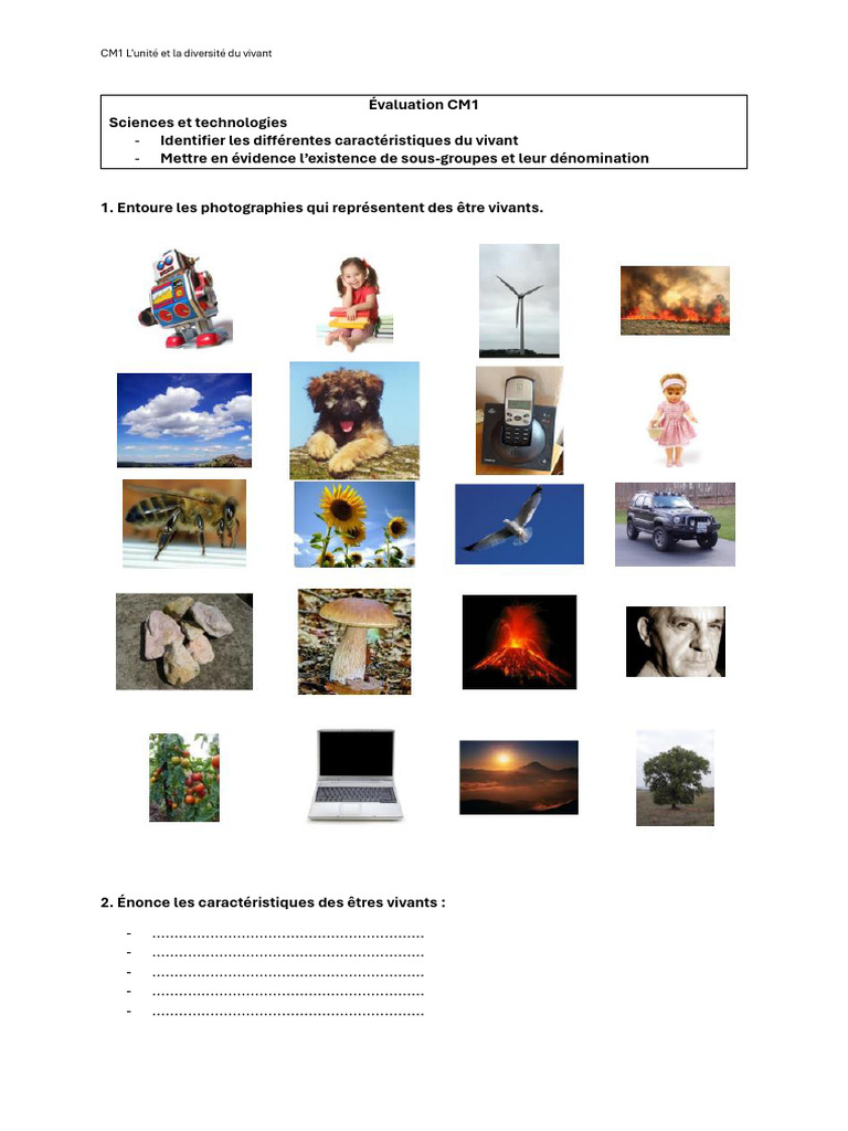 Évaluation CM1 : Unité et diversité du vivant | PDF