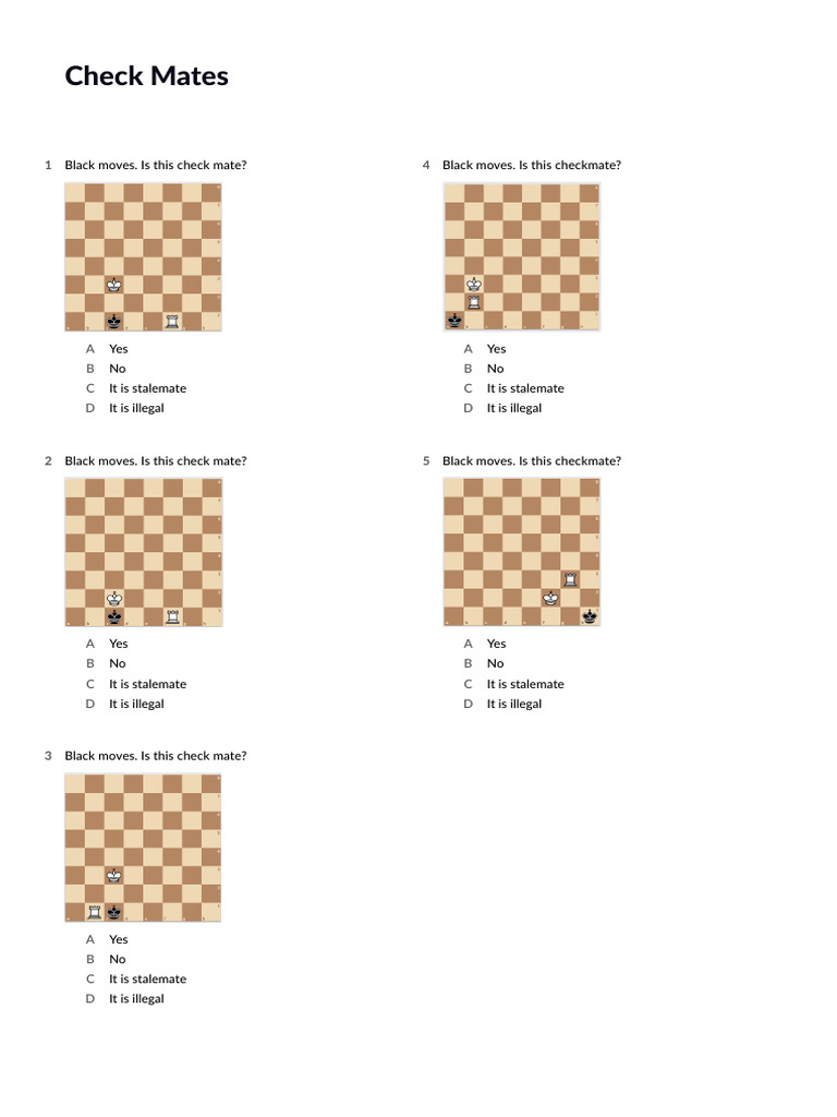 Check Mates | PDF
