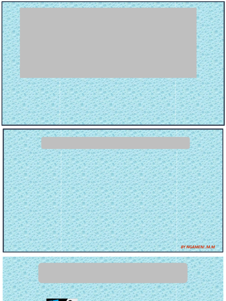OS Installation Guide: Step-by-Step | PDF