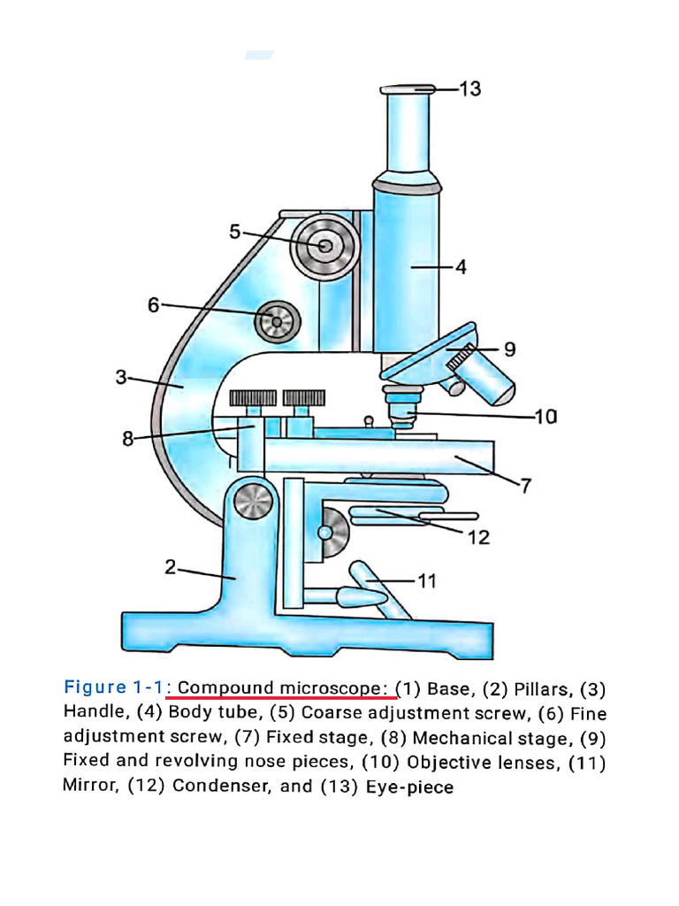 Physio Practical Instruments2 Pdf
