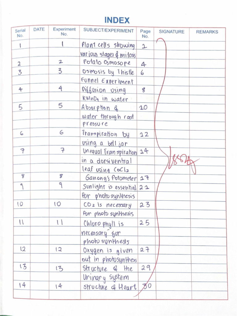 Bio Project Experiments Set 1 | PDF