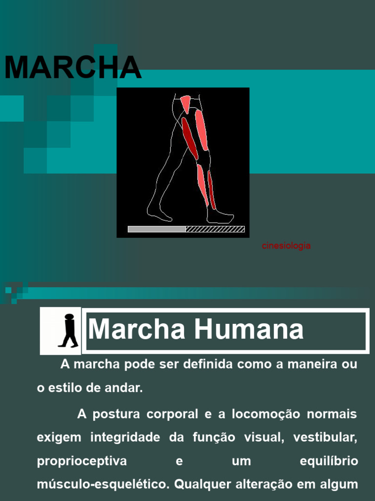 Análise da Marcha Humana e Patológica | PDF | Joelho | Sistema Locomotor