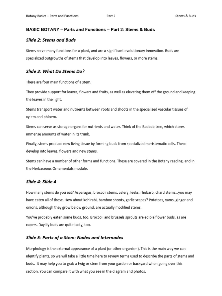 Botany Parts & Functions PT2 Stems & Buds Narration | PDF | Plant Stem ...