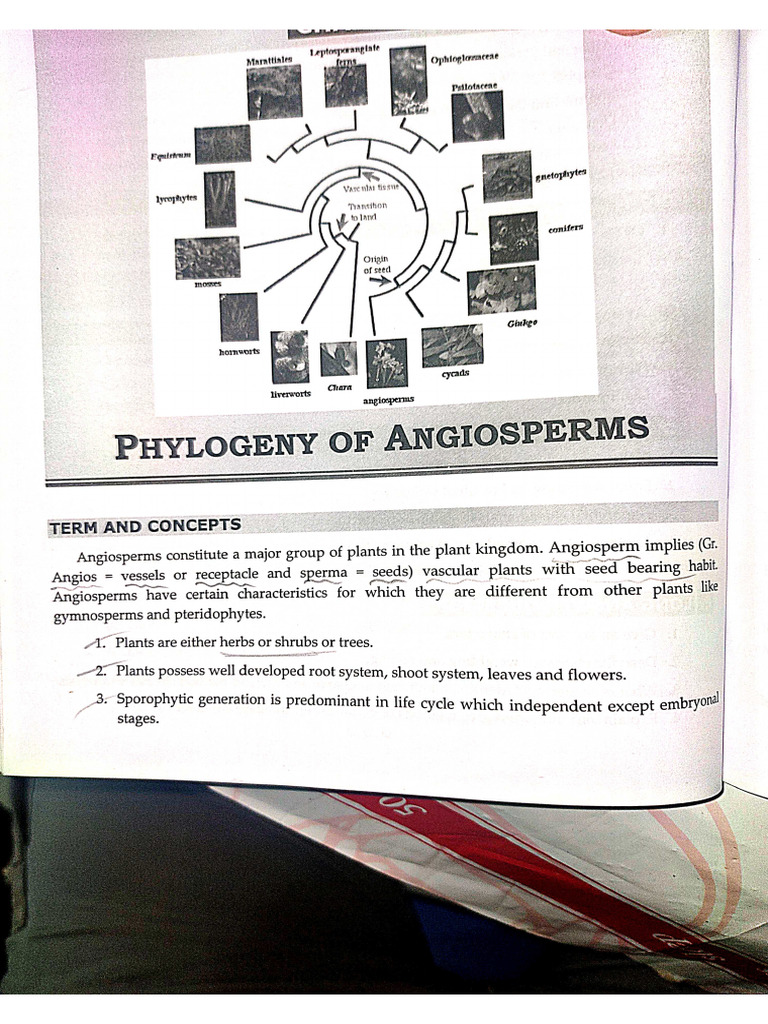 Systematics Unit 4 | PDF