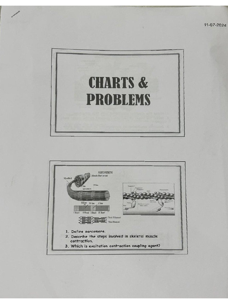 Charts and Problems | PDF