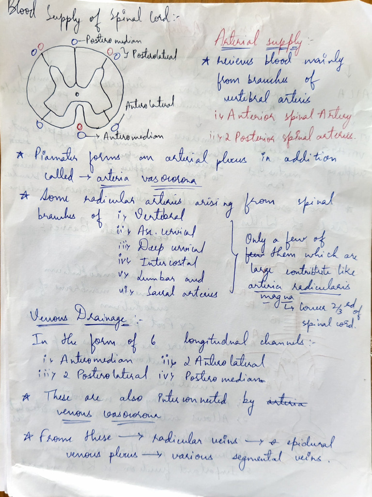 Neuro Notes | PDF