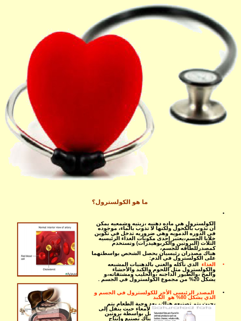 Colestrol Booklet 2 | PDF