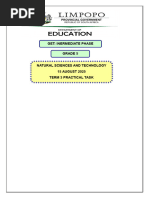NST Grade 5 Practical Task Term 3 No2 | PDF | Hypothesis | Candle