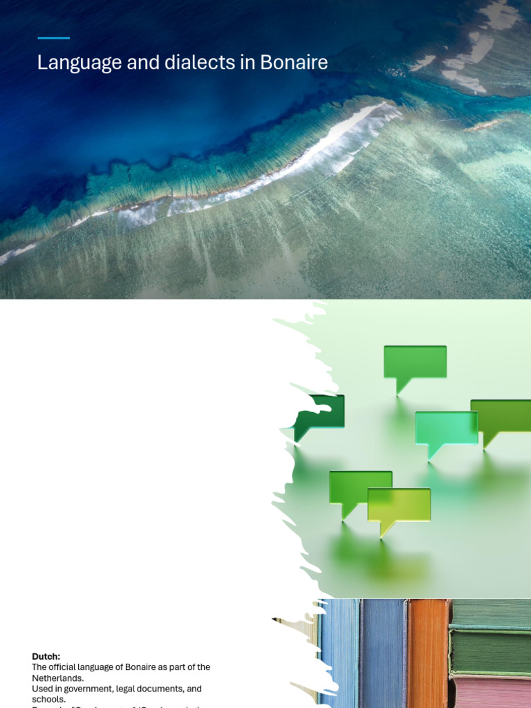 Languages Spoken in Bonaire | PDF | Spanish Language | English Language