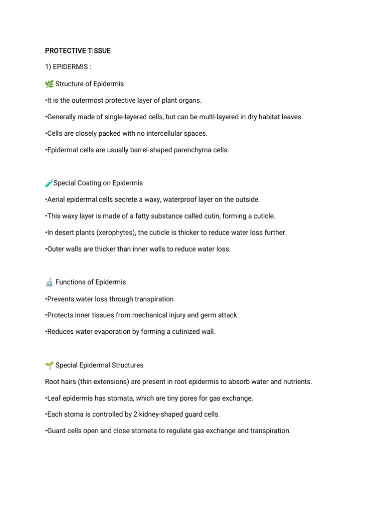 PROTECTIVE TISSUE-WPS Office | PDF