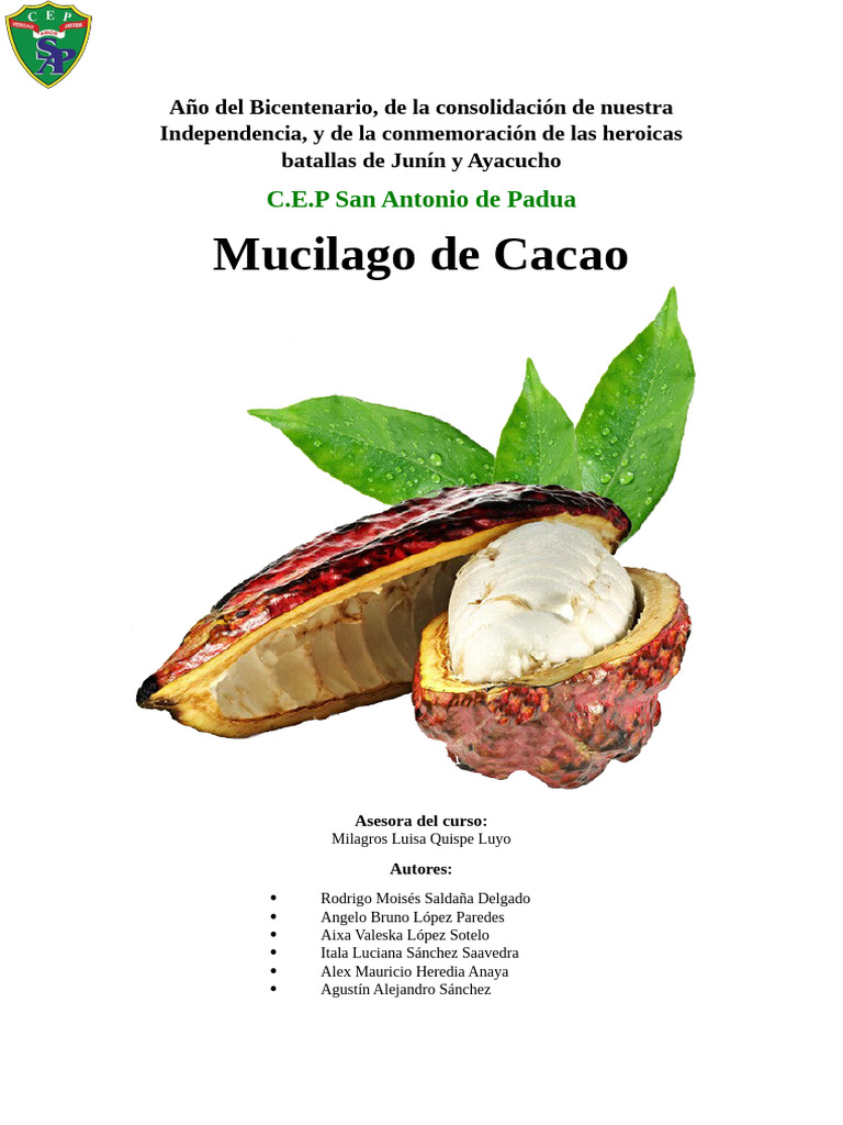 Mucílago de Cacao: Propiedades y Usos | PDF | Fermentación | Descomposición