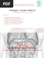 Reflejo o Triada D Cushing | PDF | Hipertensión | Anatomía humana