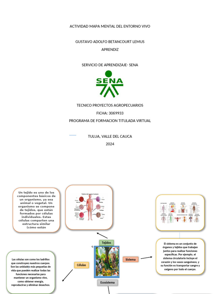 Mapa Mental Entorn Vivo Gus | PDF | Organismos | Biología Celular)