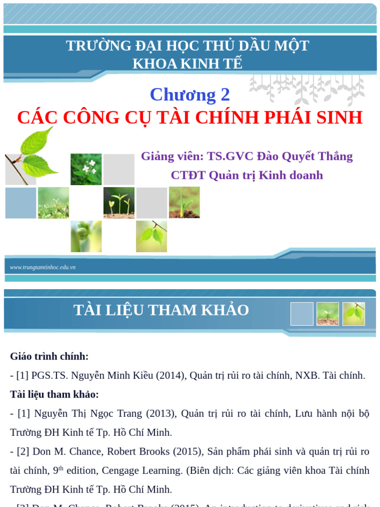 Chuong 2-Cac Cong Cu TC Phai Sinh | PDF