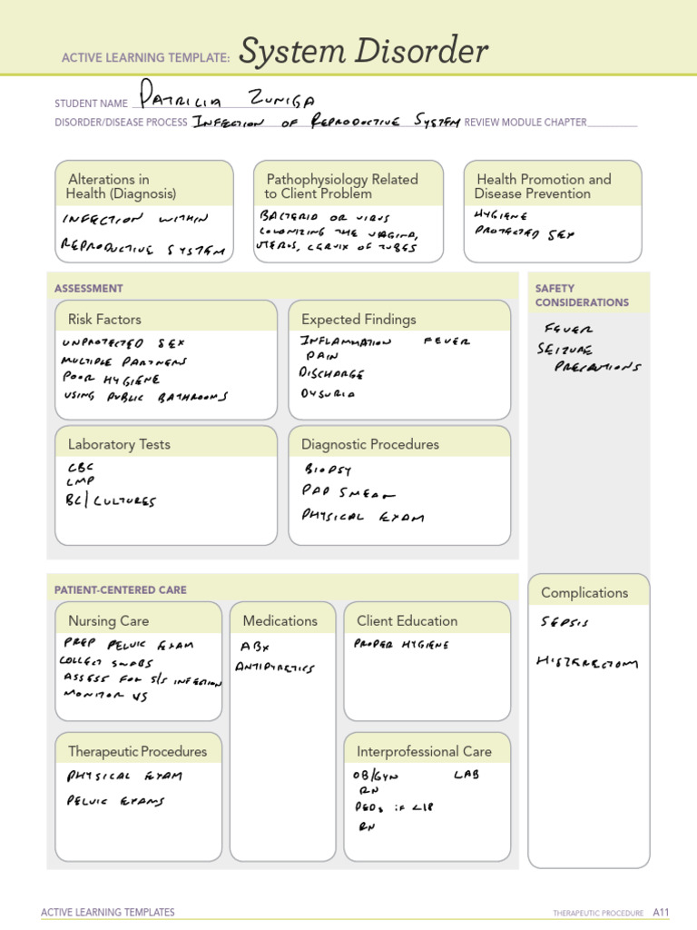 Sepsis System Disorder Template | PDF | Infection | Nursing