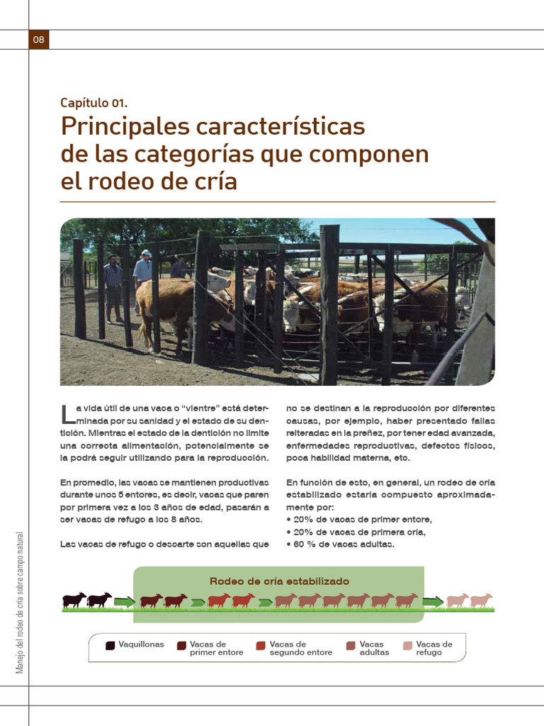 Manejo del Rodeo de Cría en Pasturas Naturales | PDF | Pasto | Pasto