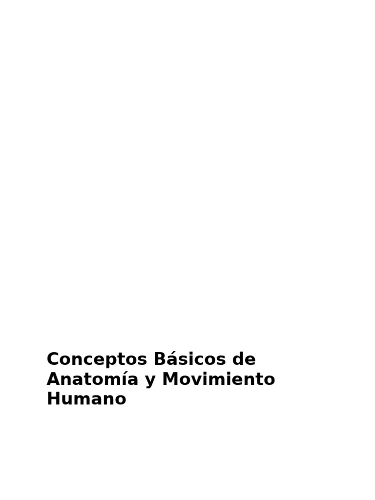Conceptos Básicos de ANATOMÍA | PDF | Abdomen | Términos anatómicos de ...