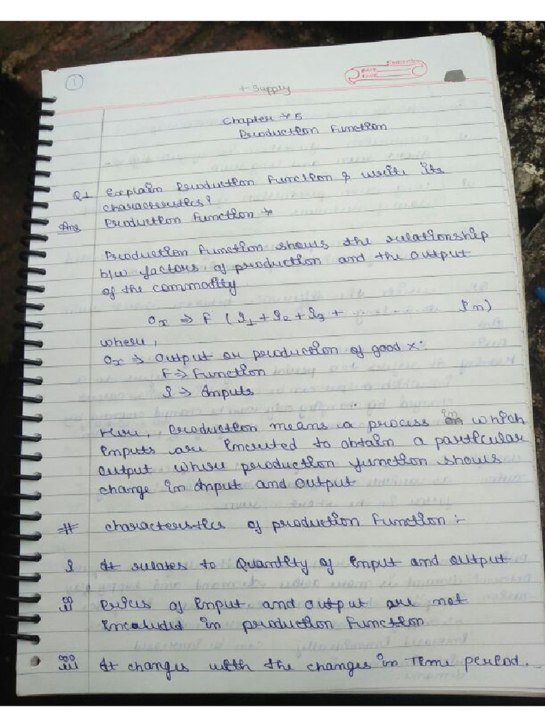 Micro Production Function | PDF