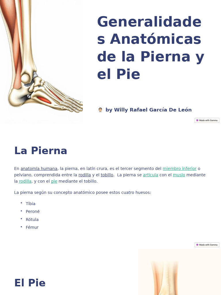 Anatomía de la Pierna y el Pie | PDF | Pie | Tobillo
