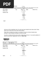 GEICO Insurance Declaration Page Details | PDF | Insurance